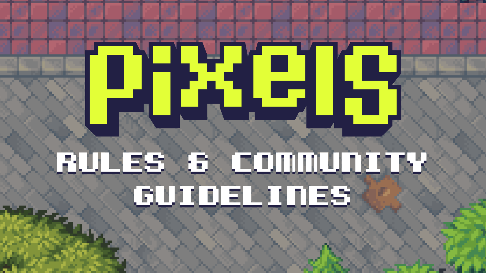 Rules & Community Guidelines